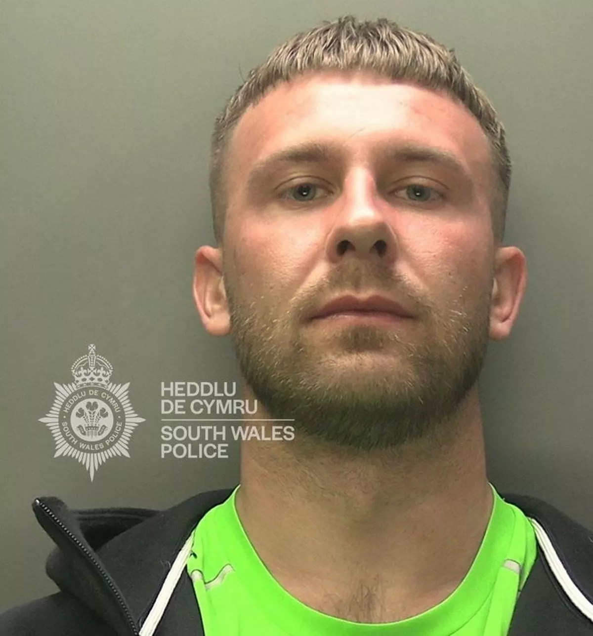 Holiday Park Attacker Jailed for Brutal Assault on Partner - Wales Updates